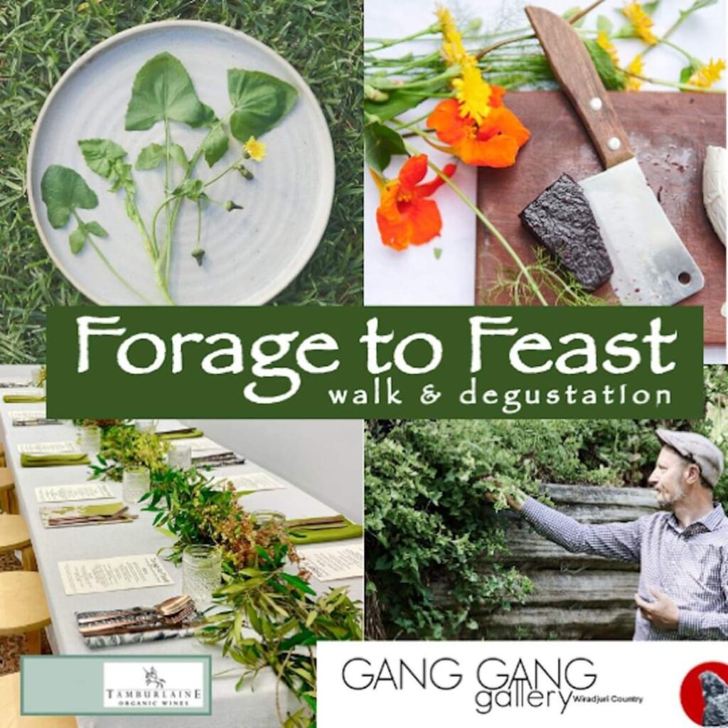 Forage To Feast At The Gang Gang Gallery – Seven Valleys Tourism